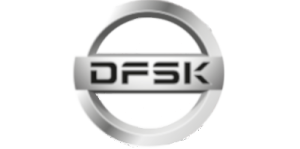 DFSK Nederland B.V. | The leanest way of transport